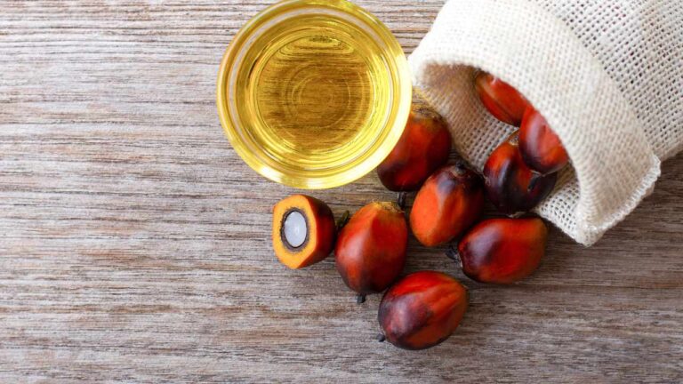 Palm Kernel Oil vs Palm Oil: Key Differences Explained