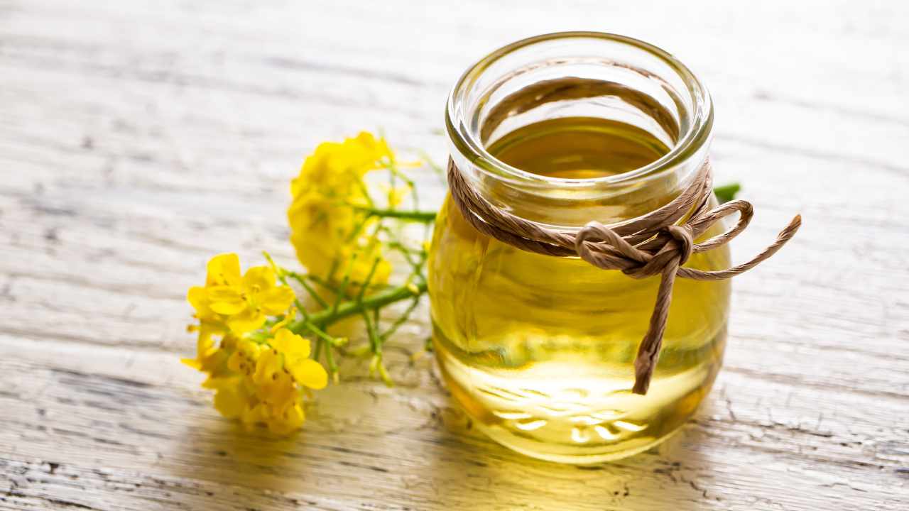 Rapeseed Oil vs Canola Oil: Key Differences Explored